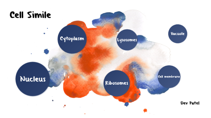 Cell simile by Dev Patel on Prezi