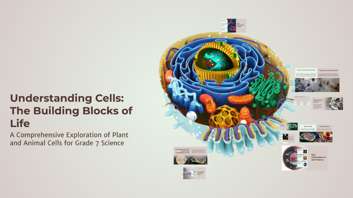 Understanding Cells: The Building Blocks of Life by Danica Lauron on Prezi