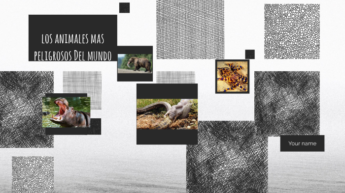 los animales mas peligrosos de todo el mundo by Frederick Rojas on Prezi