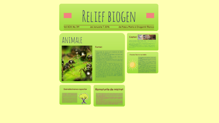 Relief biogen by Andreea-Maria Pascu on Prezi