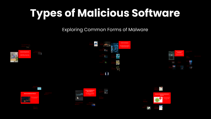 Types of Malicious Software by Frina Merchant on Prezi