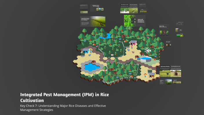 Integrated Pest Management (IPM) in Rice Cultivation by Roge Mae ...