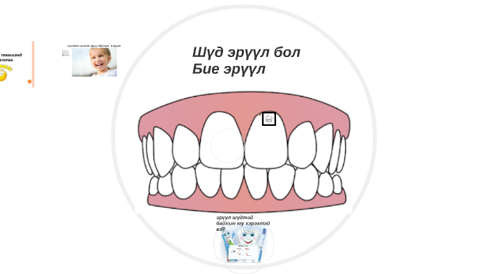 шүд эрүүл бол By Dariimaa Ganbaatar On Prezi