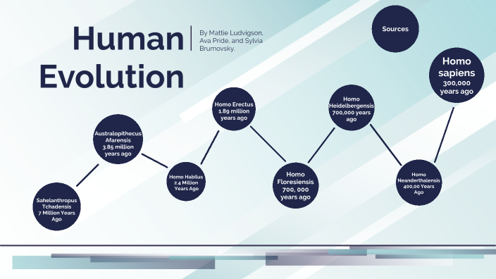 Human Evolution by Mattie Mouse on Prezi