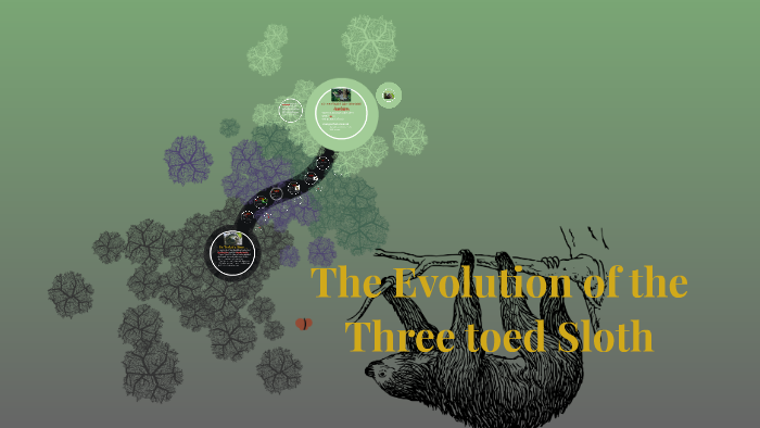 The evolution of the sloth by jess juhas on Prezi