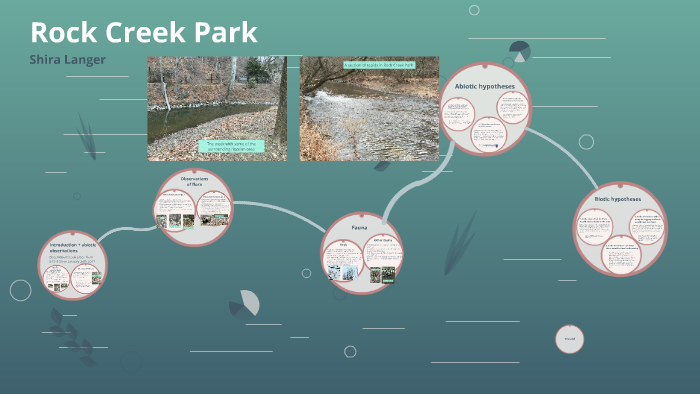 Rock creek park by Shira Langer on Prezi
