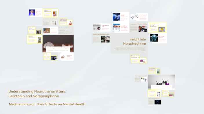 Understanding Neurotransmitters: Serotonin and Norepinephrine by Mackin ...