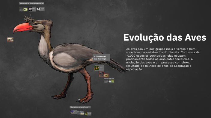 Evolução das Aves by isabella alves on Prezi