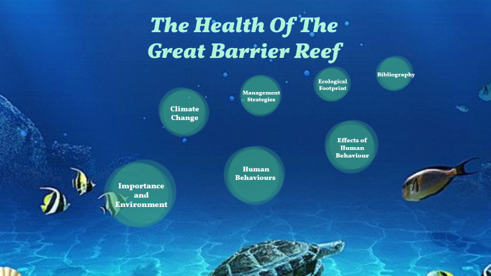 The Health of the Great Barrier Reef by Lillian Warren on Prezi