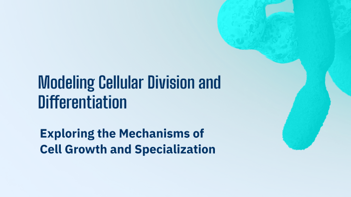Modeling Cellular Division and Differentiation by kaitlyn griffin on Prezi