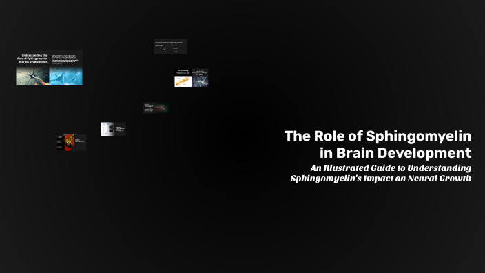 The Role of Sphingomyelin in Brain Development by Josiah Gaji on Prezi
