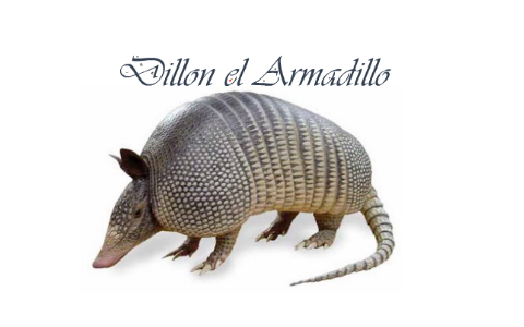 Hay un armadillo que se llama Dillon by Adam Biggers