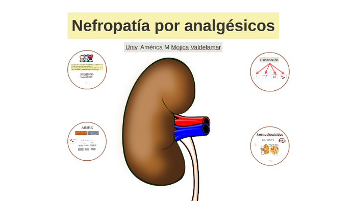 Nefrotoxicidad inducida por fármacos by America Mojica Valdelamar on Prezi