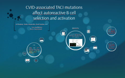 CVID-associated TACI mutations affect autoreactive B cell se by Dinara ...