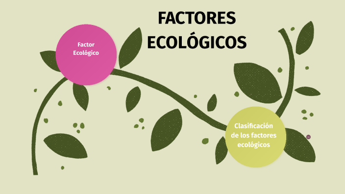 FACTORES ECOLÓGICOS by Stefany Sisalima on Prezi