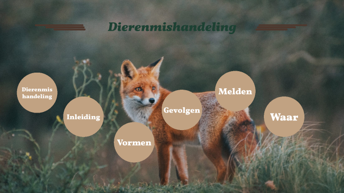 dierenmishandeling by on Prezi