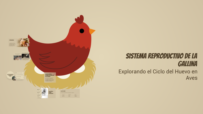 Sistema Reproductivo de la Gallina by Wilmer José Martinez Rodríguez on ...