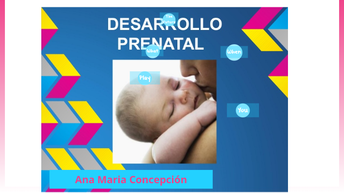Desarrollo Prenatal Y Perinatal By Ana Concepcion