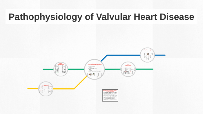 Pathophysiology of Valvular Heart Disease by Katie Myers on Prezi