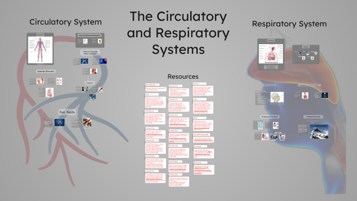 The Circulatory and Respiratory Systems by Victor Odiakosa on Prezi