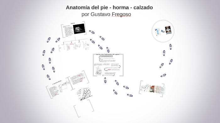 Anatomía del pie - horma - calzado by g f on Prezi