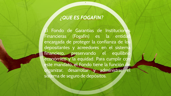 FOGAFIN by Barbara Gutierrez on Prezi