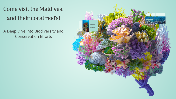 Exploring the Coral Reefs of the Maldives by Ava Whaley on Prezi