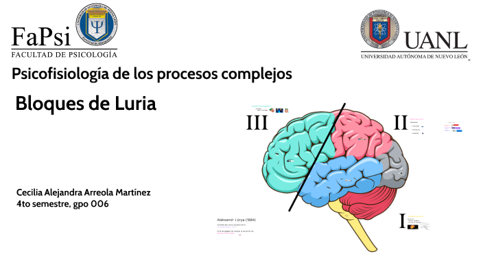 Bloques de Luria by Cecilia Arreola on Prezi
