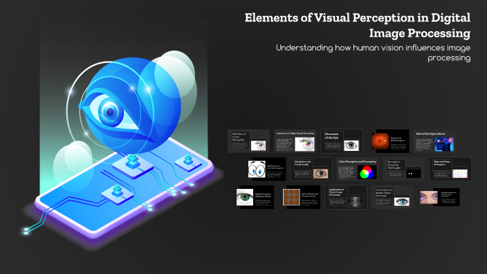 Elements of Visual Perception In Digital Image Processing by DHANESH ...