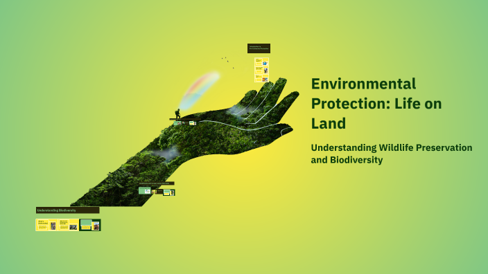 Environmental Protection: Life on Land by Rachel Dolan on Prezi