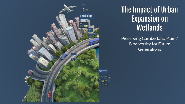 The Impact of Urban Expansion on Wetlands by Suzie Coratza on Prezi