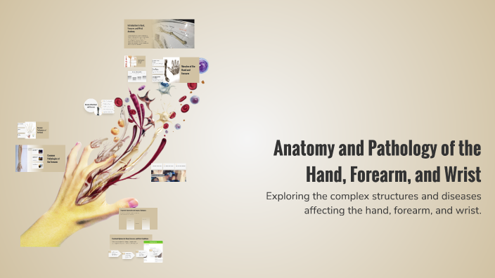 Anatomy and Pathology of the Hand, Forearm, and Wrist by Alana Gray on ...
