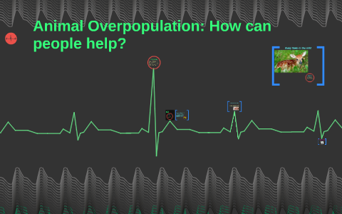 Animal Overpopulation: How can people help? by Laura Denton on Prezi