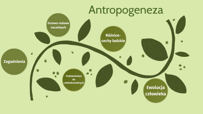 Antropogeneza by Zuzanna Tabisz on Prezi