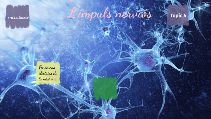 L'impúls nerviós by Marina Baselga Guirado on Prezi