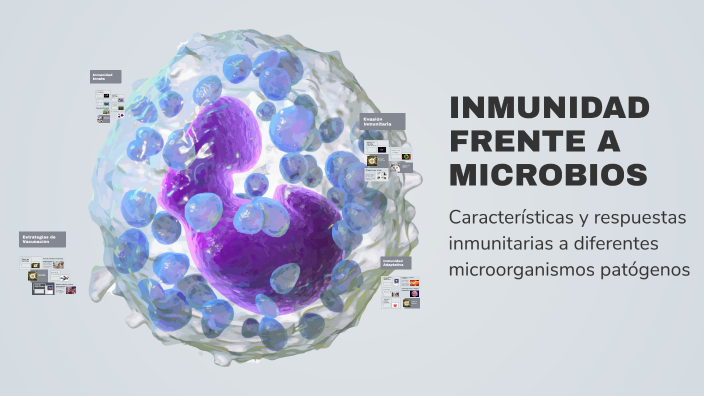 INMUNIDAD FRENTE A MICROBIOS by MARÍA PAREDES on Prezi