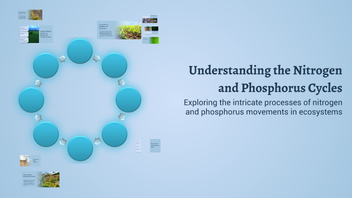 Understanding the Nitrogen and Phosphorus Cycles by John Rhio Dumon on ...