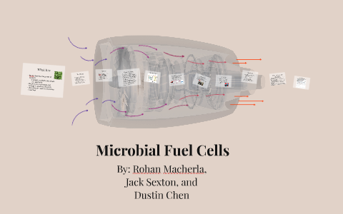 Biological Fuel Cells by RHN MAC on Prezi