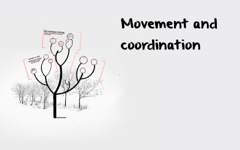 Movement and coordination by hannah Jones on Prezi