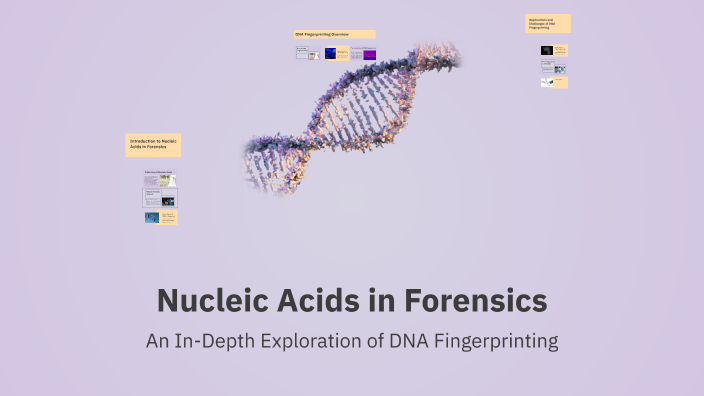 Nucleic Acids in Forensics by Manikprabhu Patil on Prezi