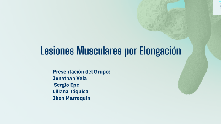 Lesiones Musculares por Elongación by Jhon Marroquin on Prezi