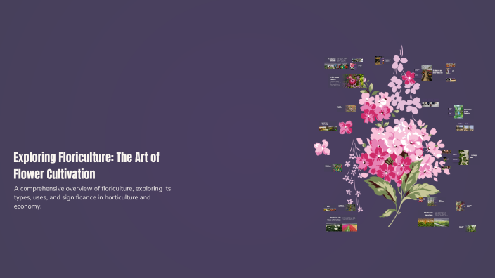 Exploring Floriculture: The Art of Flower Cultivation by A.P Amarnath ...