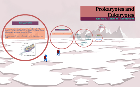 Prokaryotes and Eukaryotes by Sharde Turman on Prezi