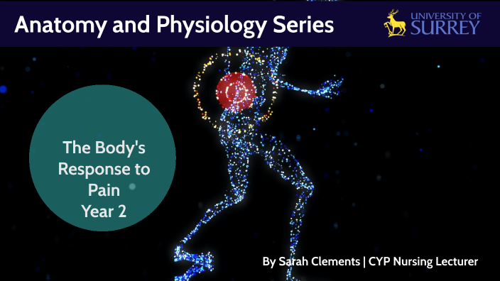 The Body's Response to Pain by Ash Brownett on Prezi