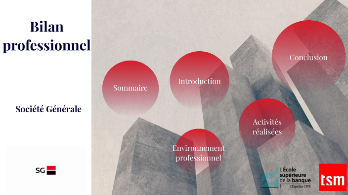 Bilan professionnel 30/03 by Théo Trouche on Prezi