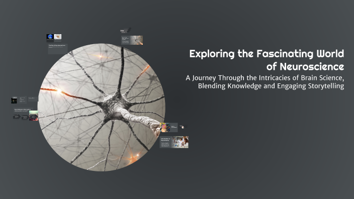 Exploring the Fascinating World of Neuroscience by Laura Mijangos on Prezi