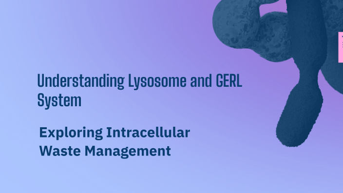 Understanding Lysosome and GERL System by heena prajapati on Prezi
