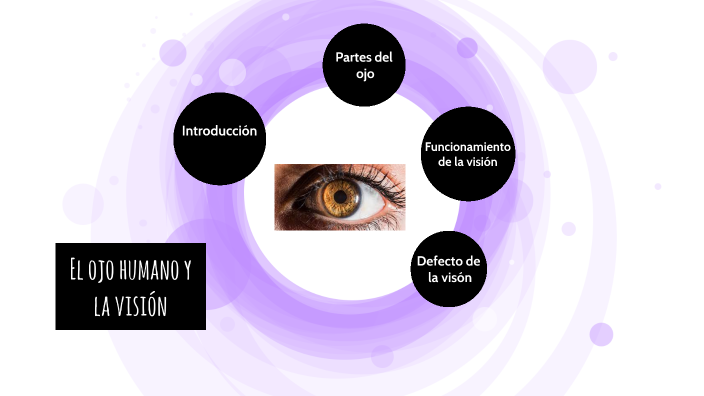EL OJO HUMANO Y LA VISIÓN by lisseth Baculima on Prezi