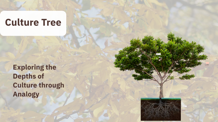 Culture Tree by Evan Figueroa on Prezi