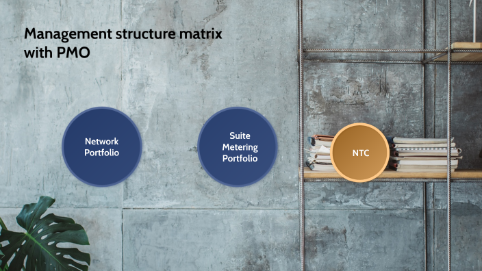 Management structure matrix with PMO by Francois Aube on Prezi